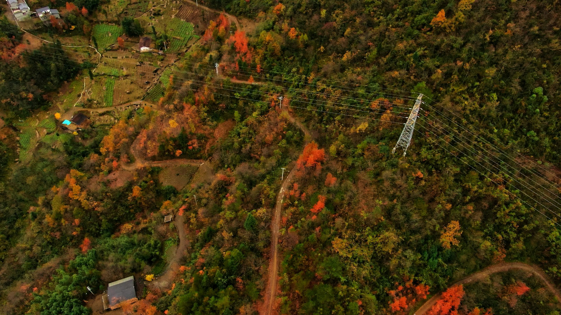 Drone-Based Aerial & Thermal Inspection for Power Distribution Networks